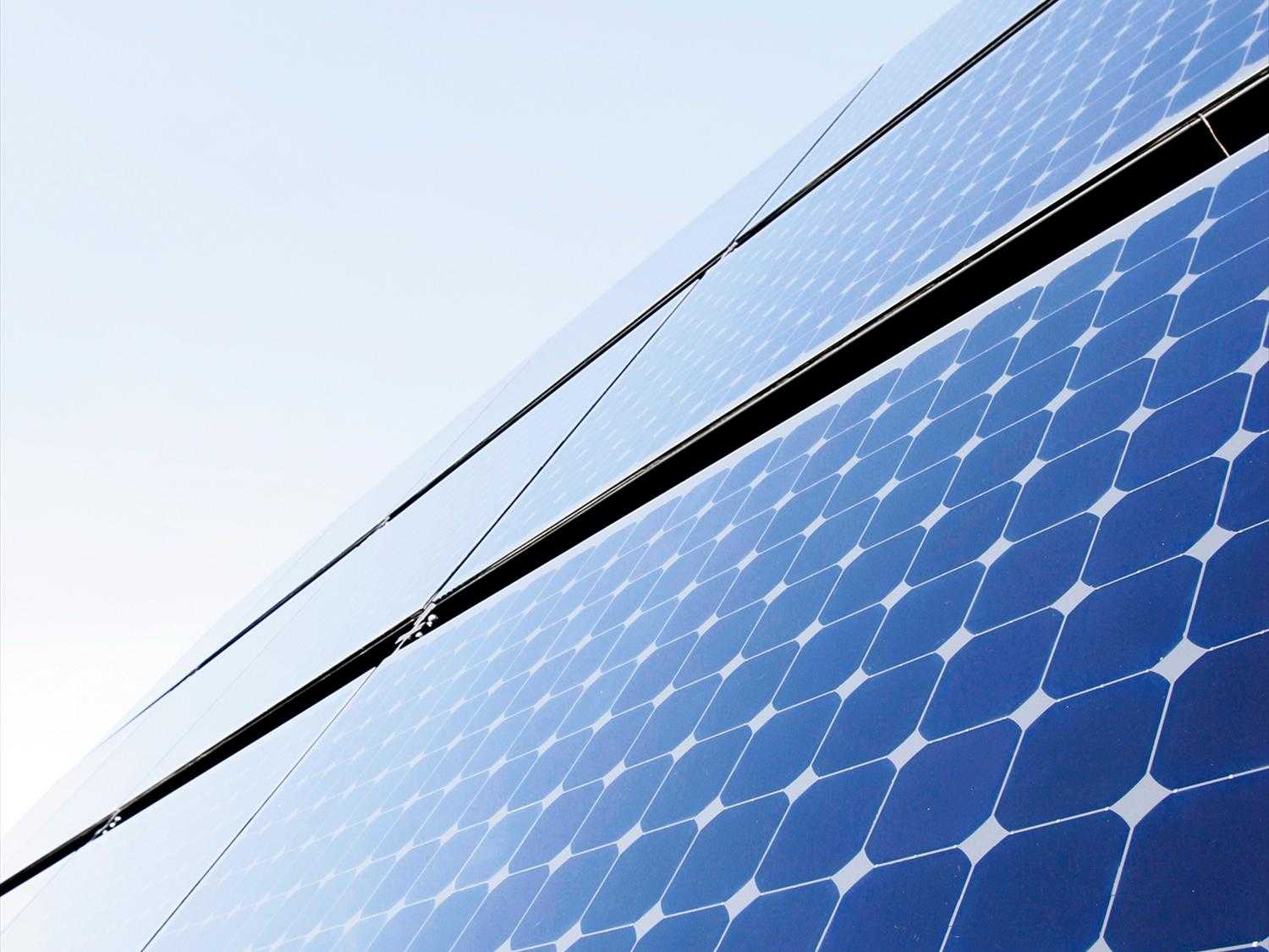 Successfully Logged Out